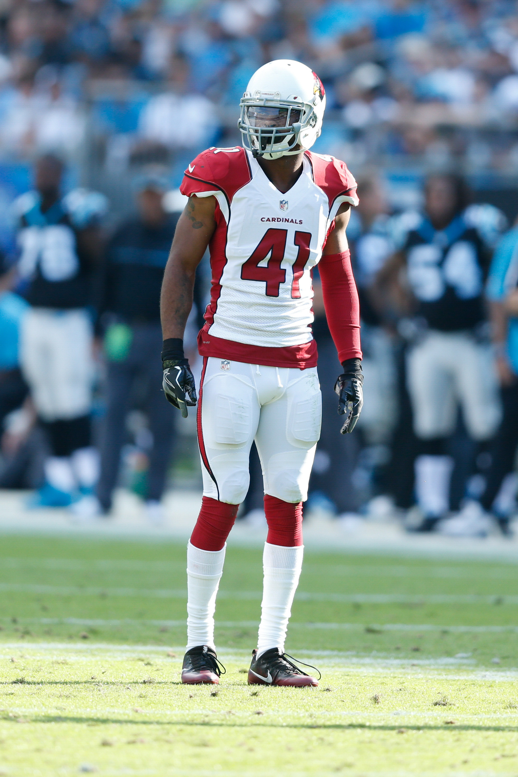 Bears Sign Marcus Cooper
